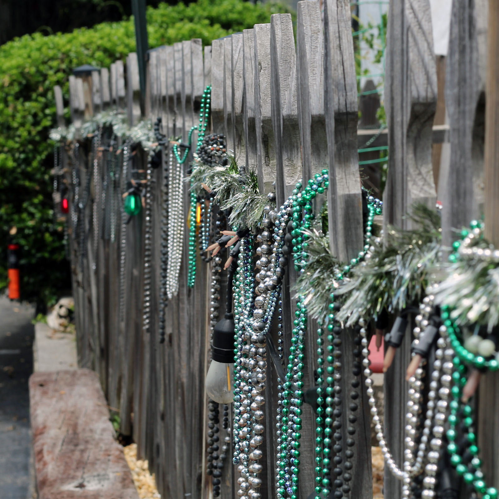 The Rougaroux: The Pirates of Forest Park – Birmingham Food Scene